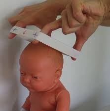 Craniometer with 10 Elastic Bands - Halo-Care